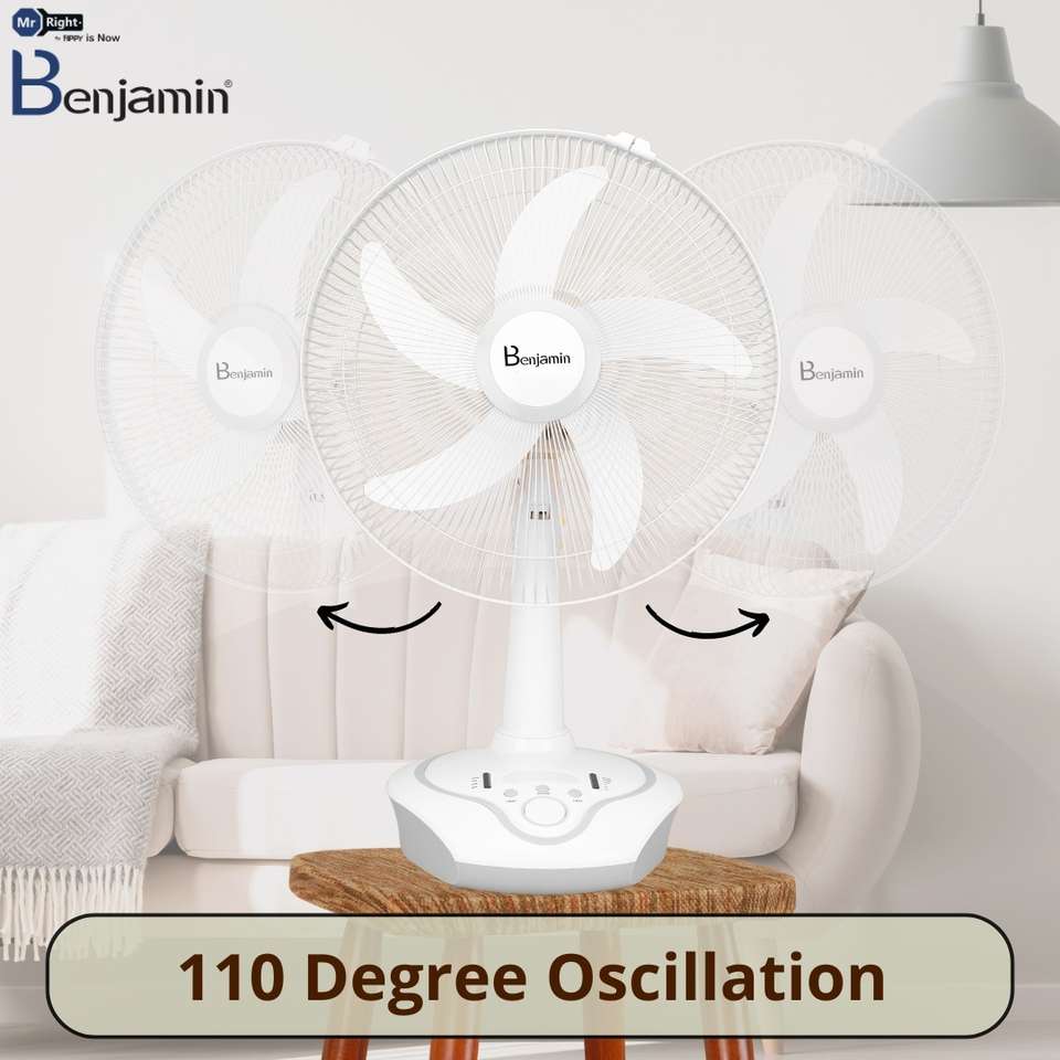 Benjamin BEN-5916BLDC AC/DC Rechargeable Battery Fan 16 Inches Blade ...