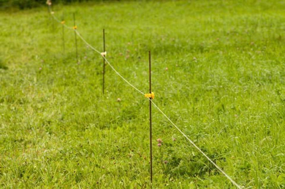 SILONIX Fencing Wire 500 Meter (5Kg,/ Boundary Wire 1.5 MM (Silver ...