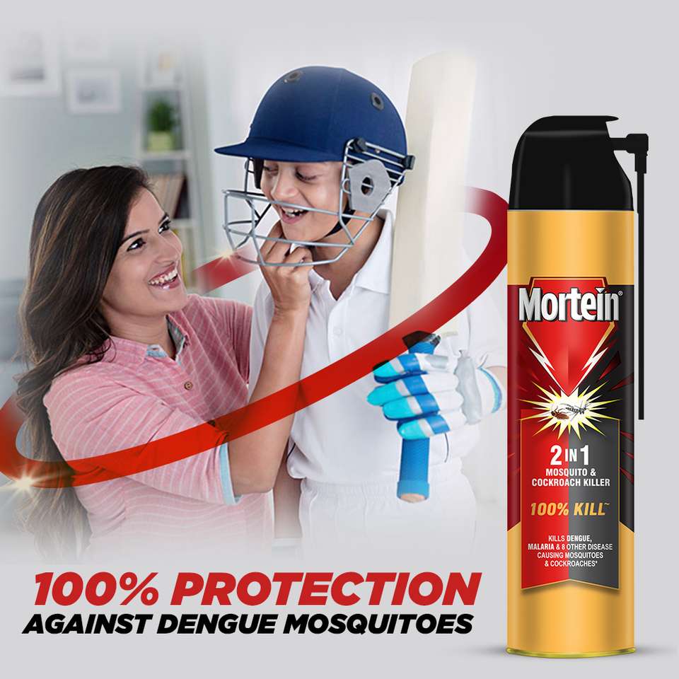 Mortein 2in1 Mosquito Killer & Cockroach spray 600ml+45ml *6 Repellent ...