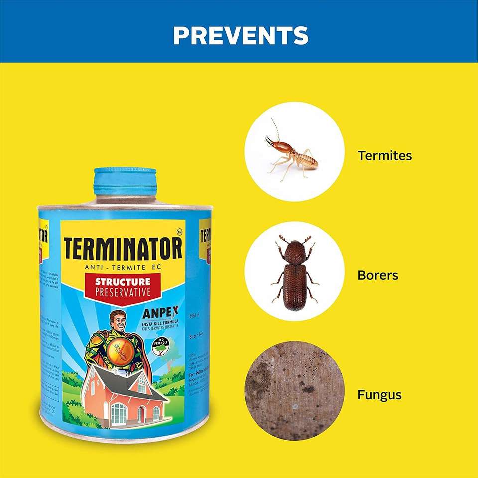 Terminator Pidilite Structure Preservative Controls Termites, Borers ...