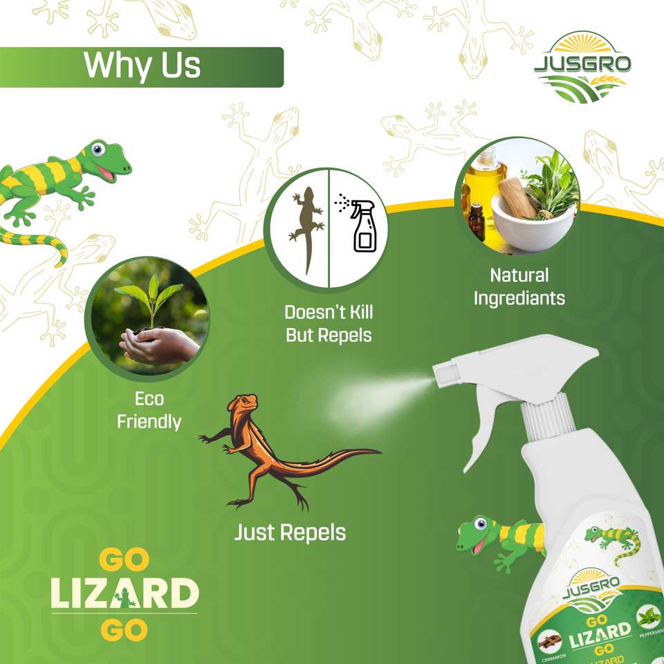 JusGro lizard killer, lizard killer for home, lizard killer Spray (250 ...