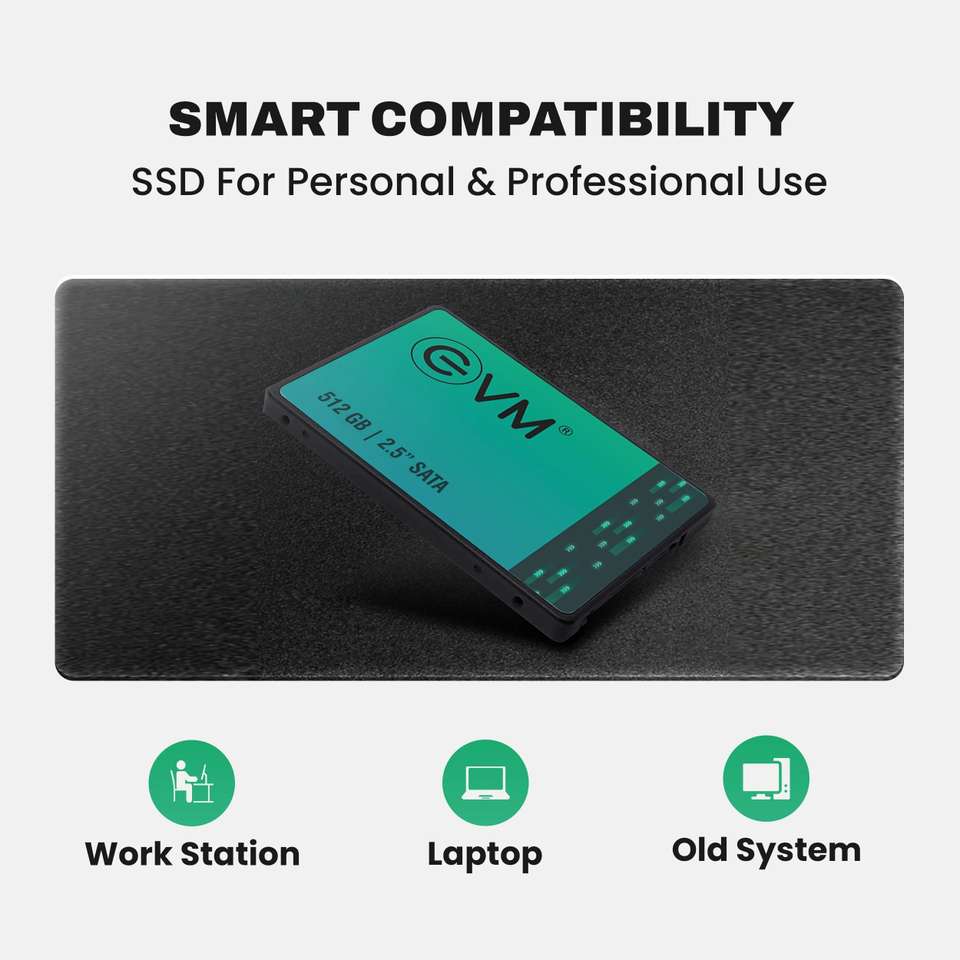 EVM EVM25 512 GB All in One PC's, Desktop, Laptop Black SATA Internal ...
