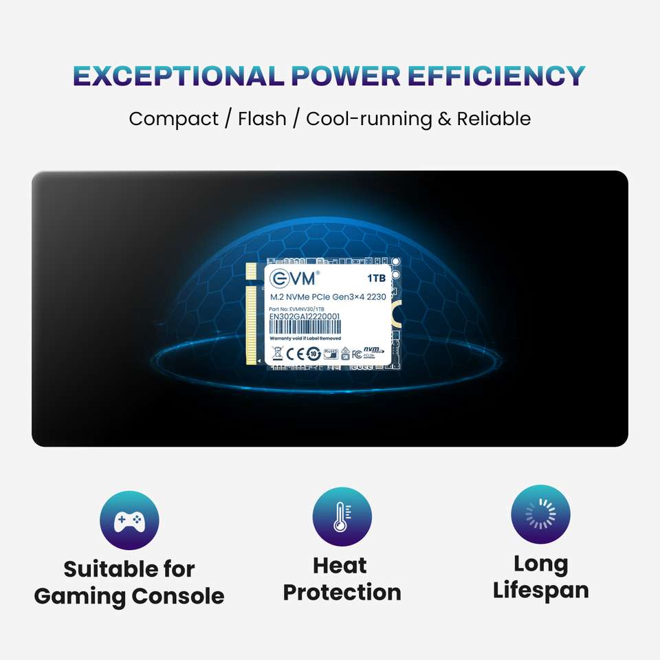 EVM M.2 NVMe (2230) 1 TB All in One PC's, Desktop, Laptop Black PCIe ...