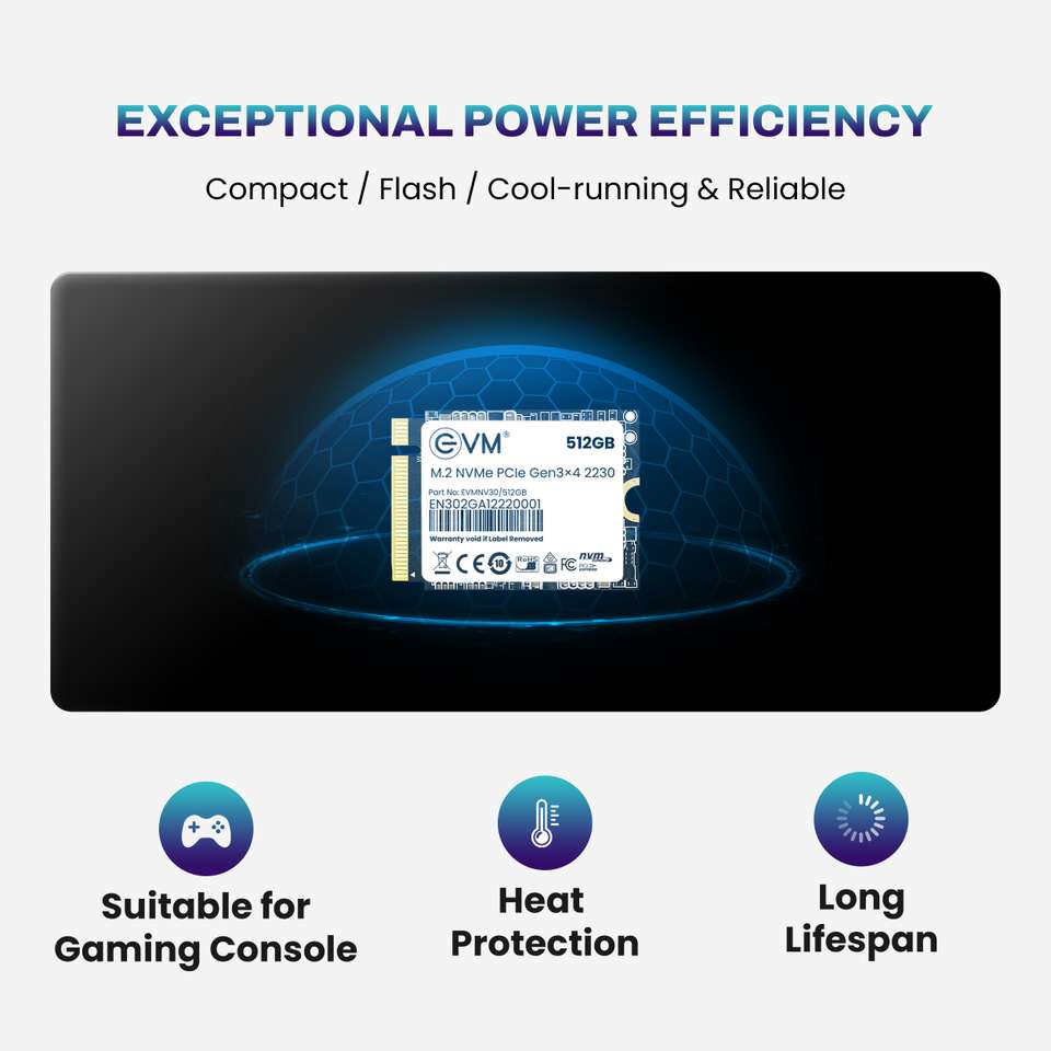 EVM M.2 NVMe (2230) 256 GB All in One PC's, Desktop, Laptop Black PCIe ...