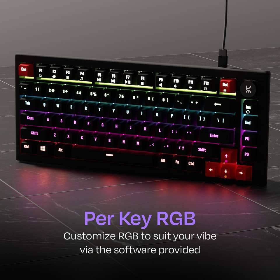 Kreo Hive RGB Gaming Mechanical Keyboard, RGB Keyboards, Braided Cable ...