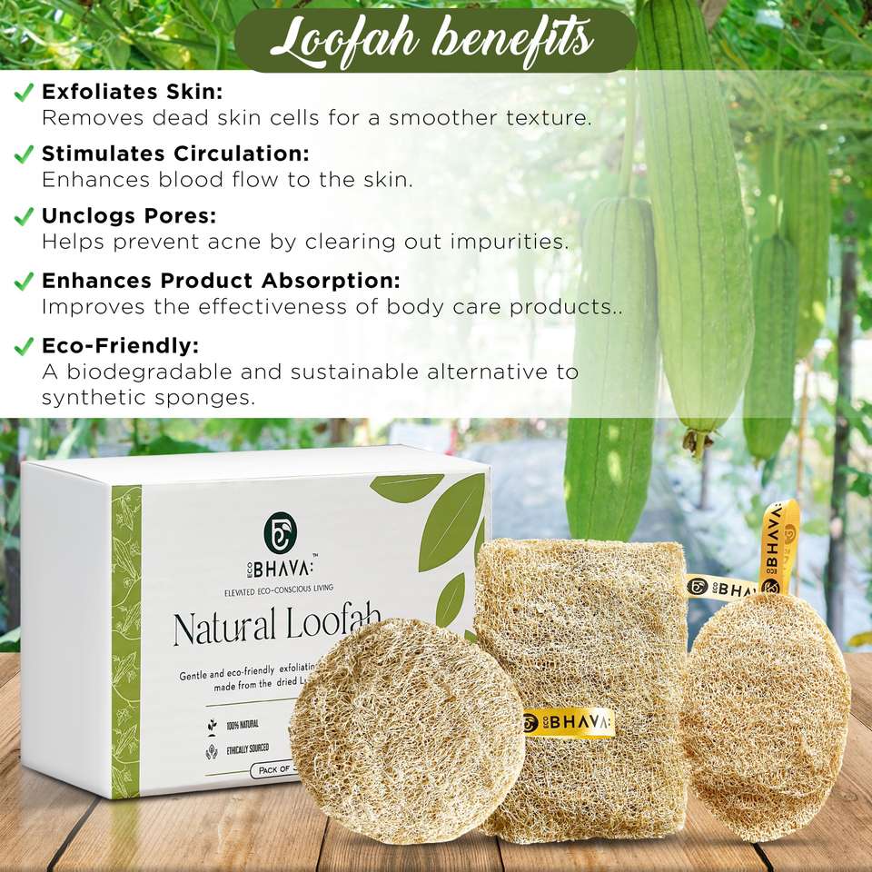 EcoBhava Loofah - Price in India, Buy EcoBhava Loofah Online In India ...