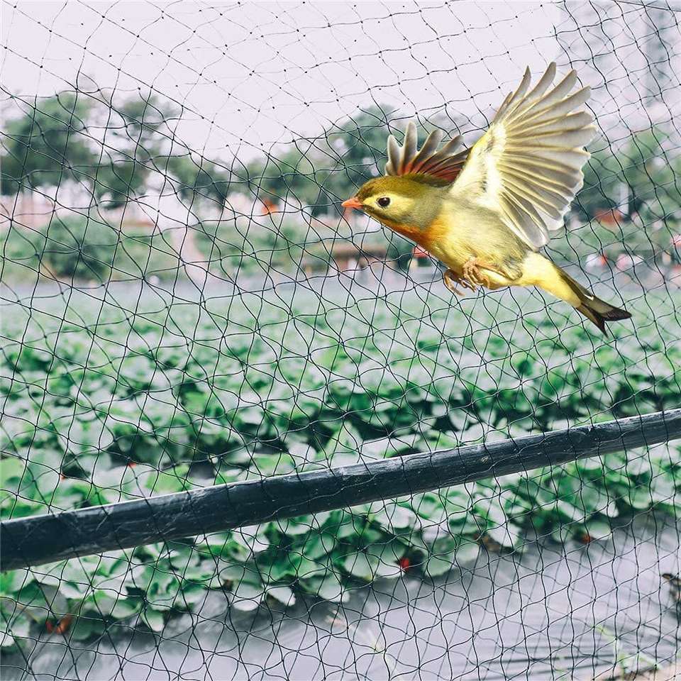 Vahi Enterprises Vahi-Pigeon Control Anti Birds Net 15 Foot X 50 Foot ...
