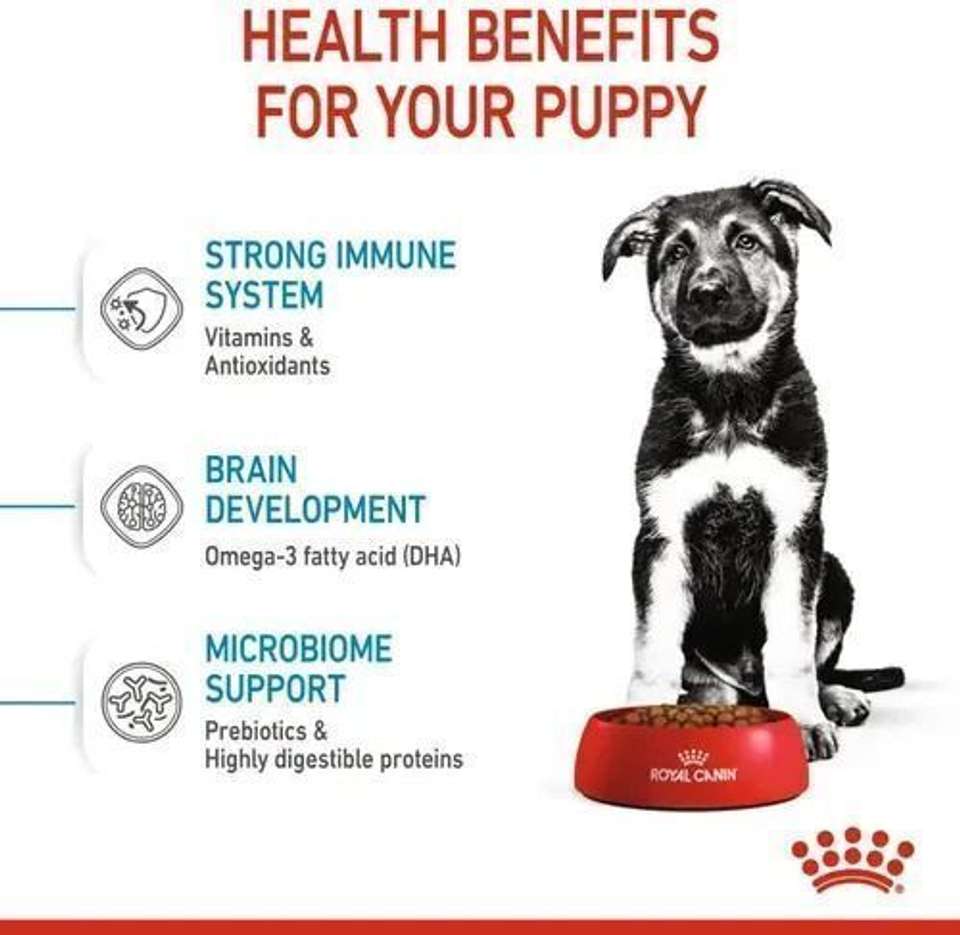 Royal Canin "RYLCN Maxi Puppy Dog Food 10kg | Balanced Diet for Healthy ...