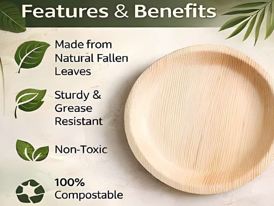 Areca Aura Global Areca leaf 12 inch round plate Dinner Plate Price in ...