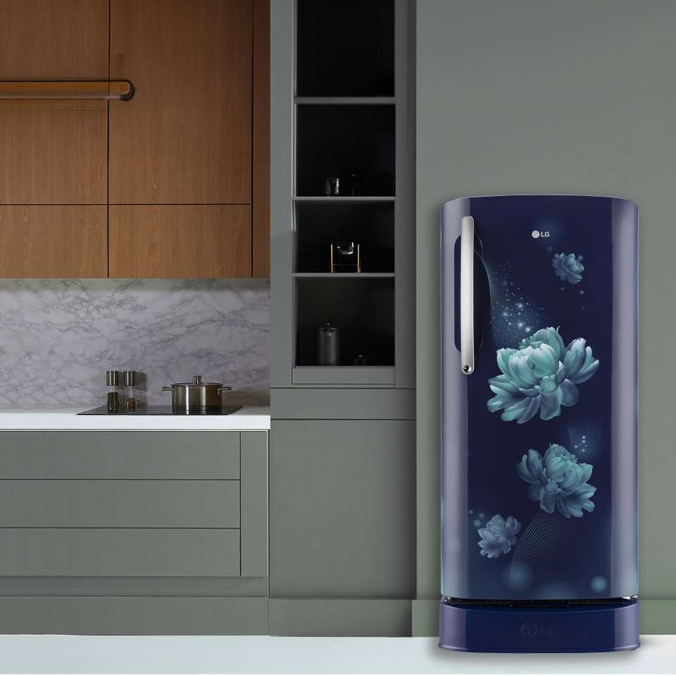 LG 201 L Direct Cool Single Door 5 Star Refrigerator with Base Drawer ...