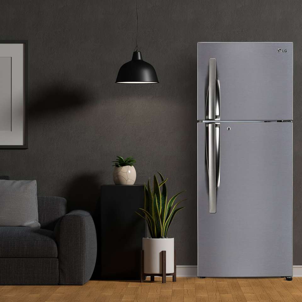 LG 242 L Frost Free Double Door 2 Star Refrigerator with DoorCooling+ ...