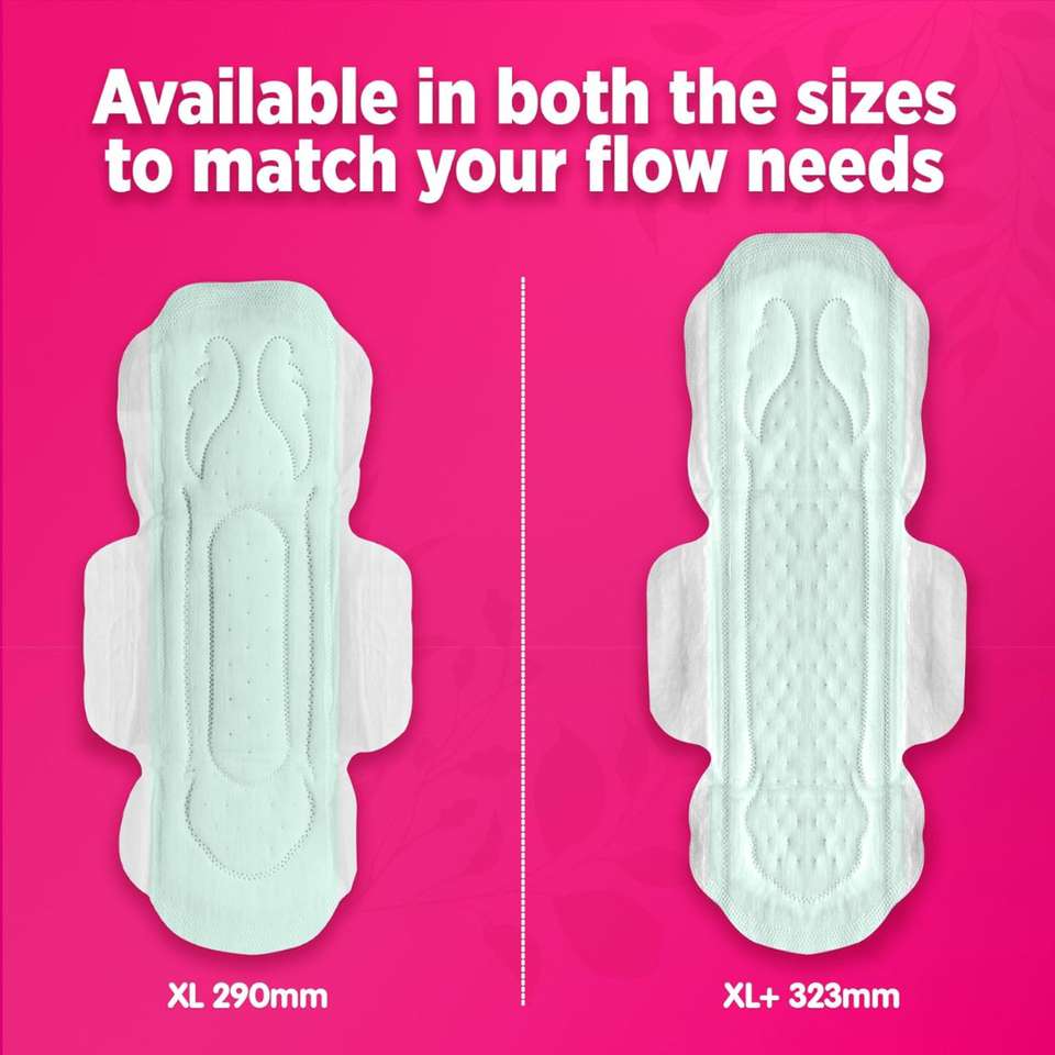 SOFY Anti Bacteria Extra Long XL Sanitary Pads - 48 Count | Sanitary ...