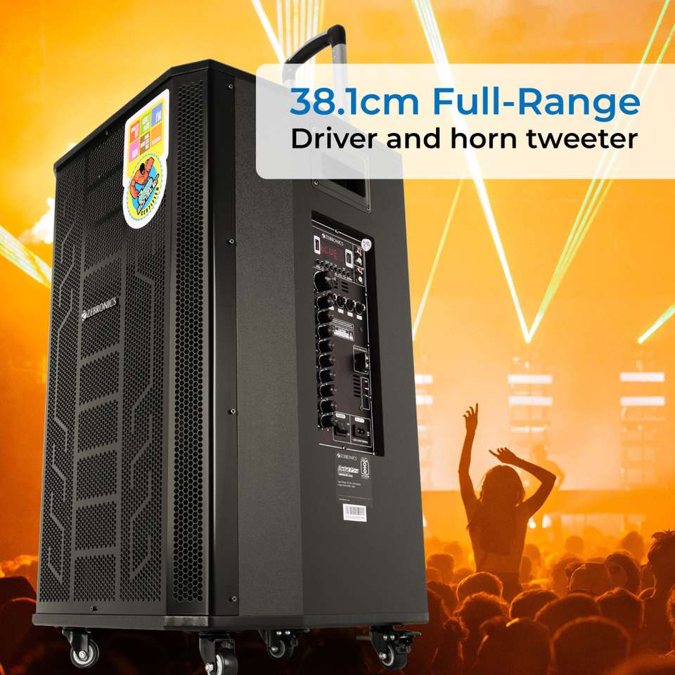 Buy ZEBRONICS ZEB-PRO 2X15L1 (METAL PRO) with Dual Wireless Mic, 150 W ...
