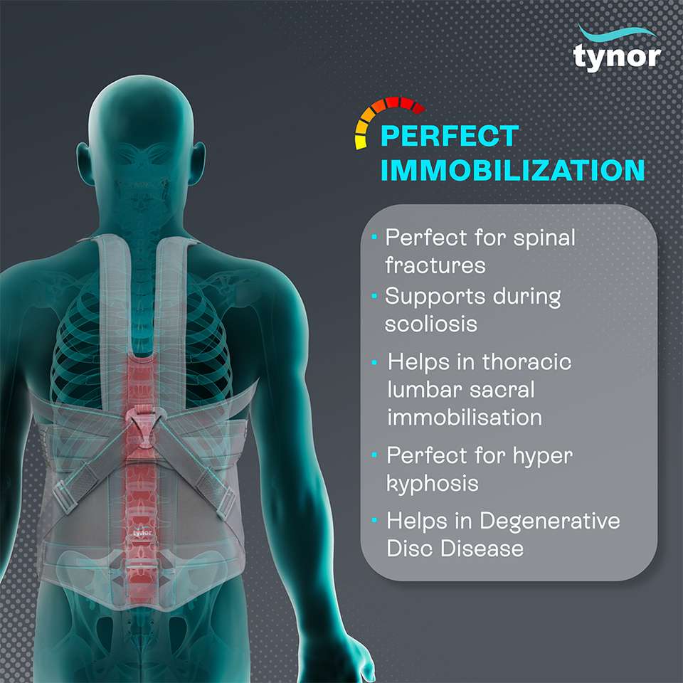 TYNOR Taylor's Brace Long, Grey, Universal Size, 1 Unit Back / Lumbar ...