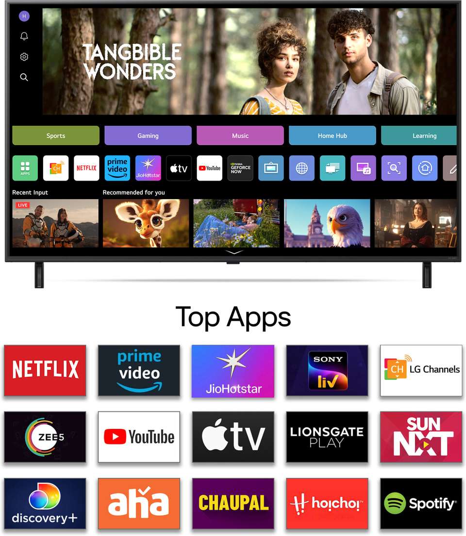 LG AI TV QNED 8AA 164 cm (65 inch) Ultra HD (4K) QNED Smart WebOS TV ...
