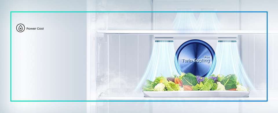Samsung 301 L Frost Free Double Door 3 Star Convertible Refrigerator ...