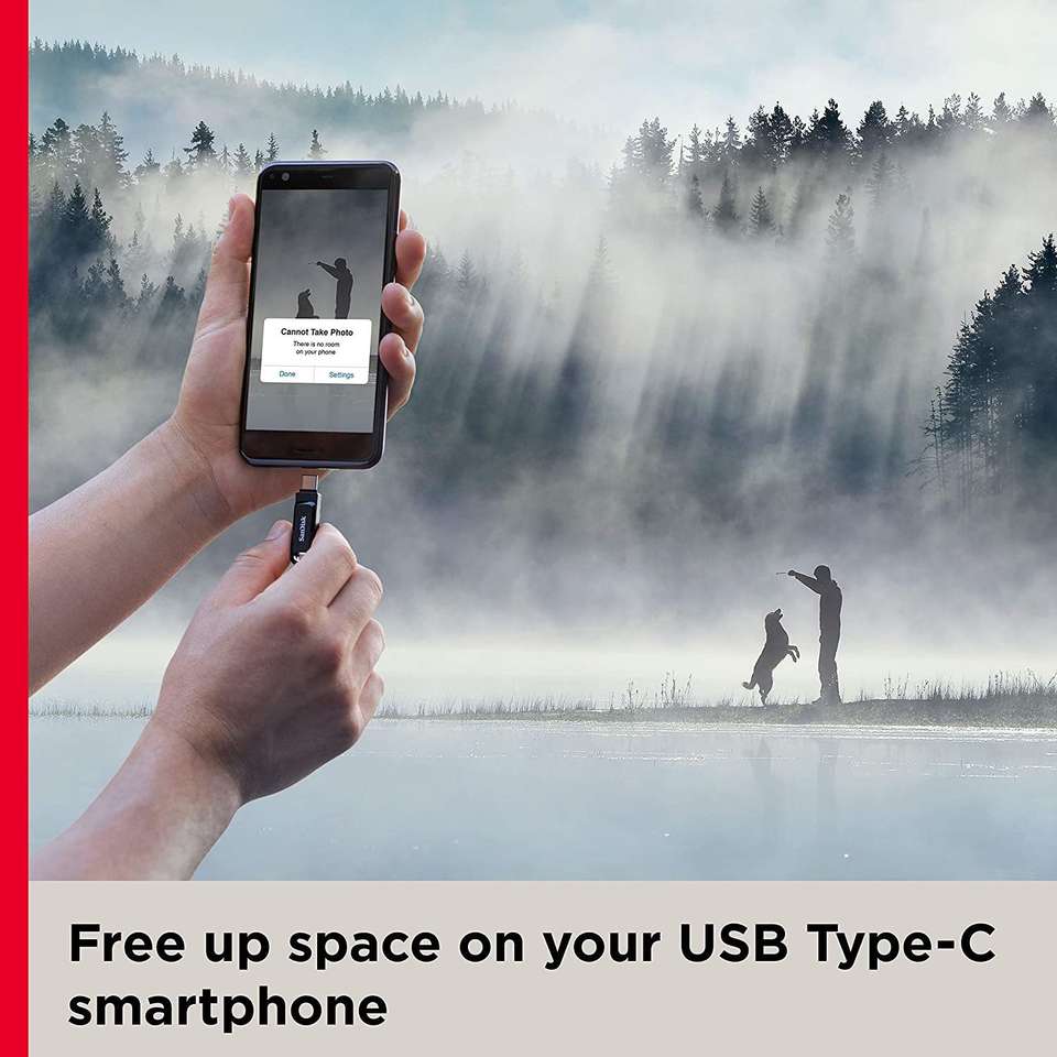 SanDisk Ultra Dual Drive Go 256GB USB Type C Pendrive for Mobile 256 GB ...