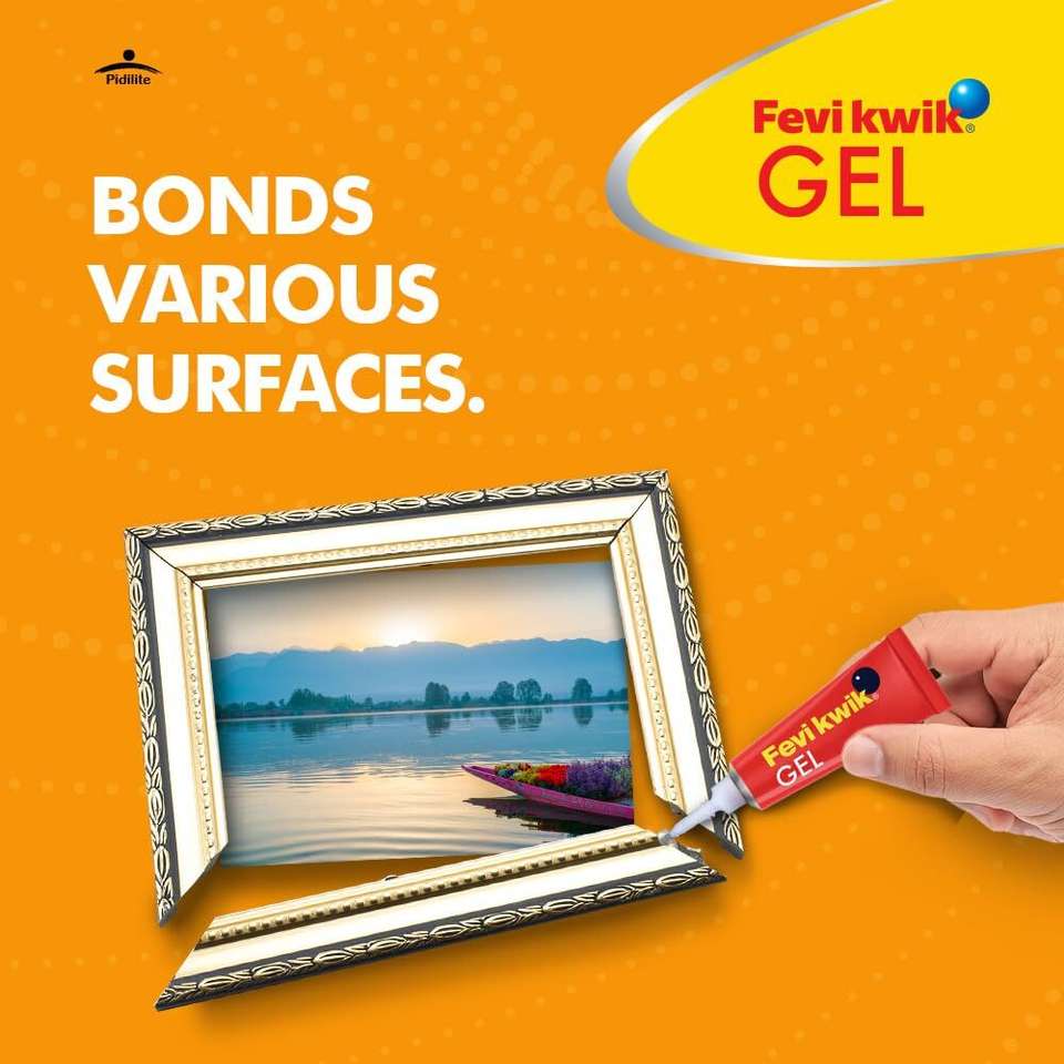 Pidilite Fevikwik Gel One Drop Instant Adhesive,Multipurpose & Easy to ...