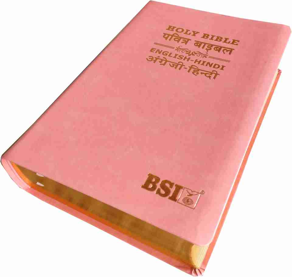 English (ESV) - Hindi (O.V.) Diglot Bible Royal (PINK) PU Yapp ...