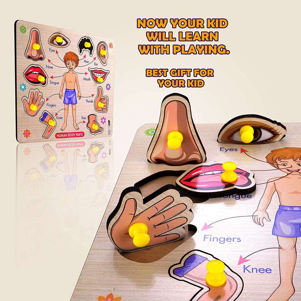 KIDACIOUS Best Sale Human Body Parts Puzzle Games Learning Educational ...
