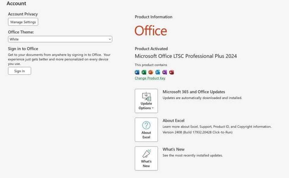 MICROSOFT Office 2024 Lifetime License For Windows 10 And 11 Pc/Laptop ...