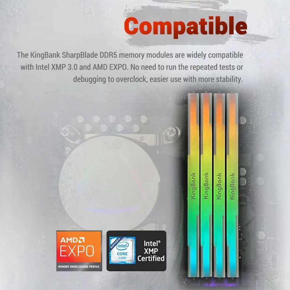 KINGBANK Heatsink Gaming Memory DDR5 DARK Heatsink Series (32X2 GB ...