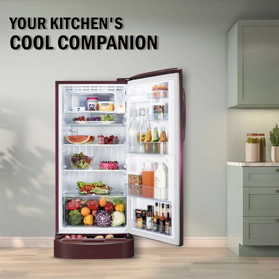 LG 210 L Direct Cool Single Door 5 Star Refrigerator with Base Drawer ...